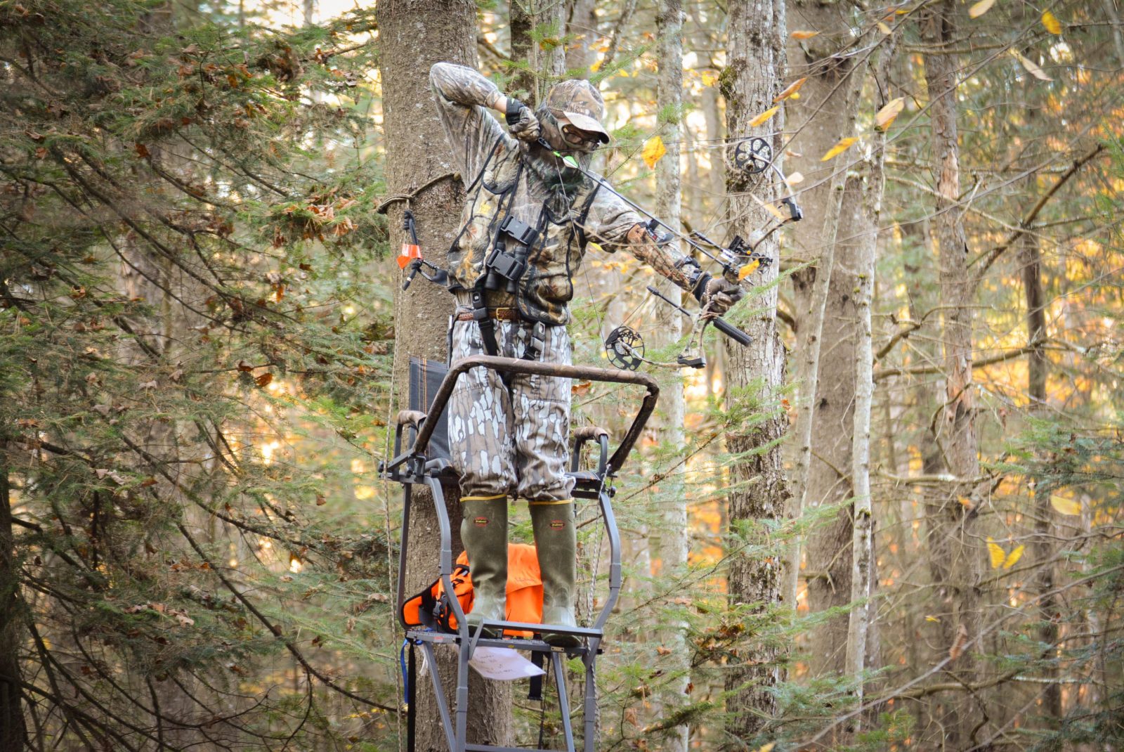 Bows: Tuning Up - Northwoods Sporting Journal
