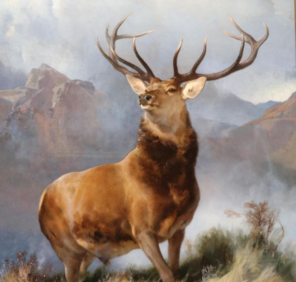 Scottish Elk
