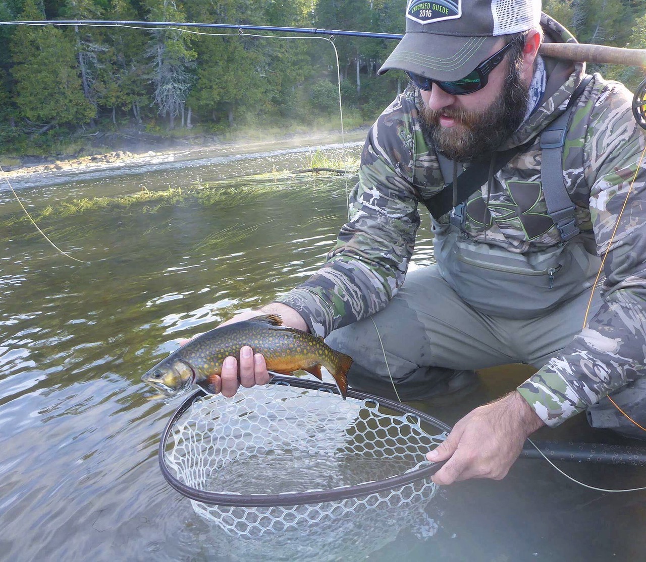 Trouting the Beaverkill - Northwoods Sporting Journal