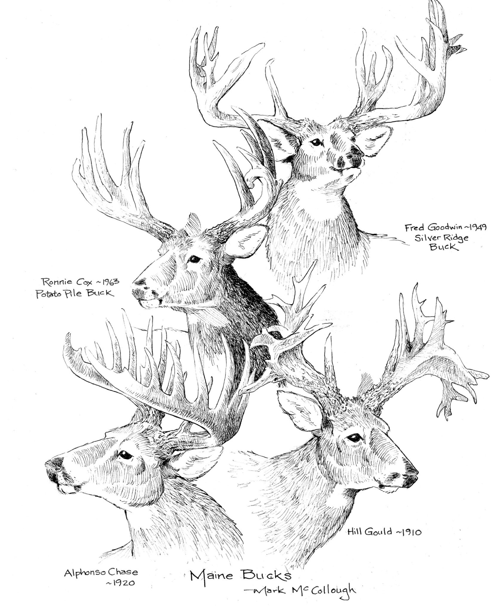 Legendary Maine Bucks - Northwoods Sporting Journal