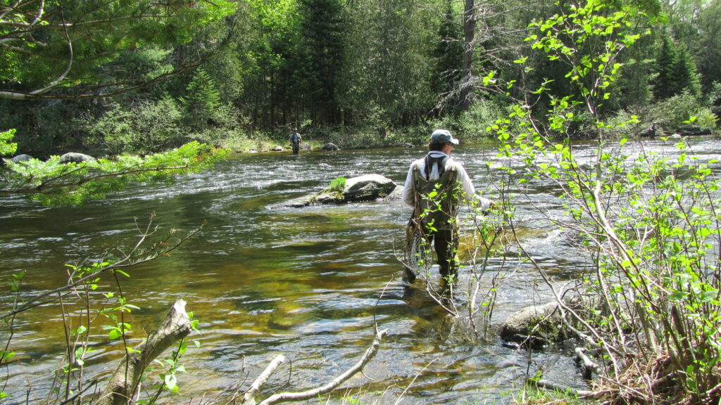 Best Spring Trout Flies - Northwoods Sporting Journal