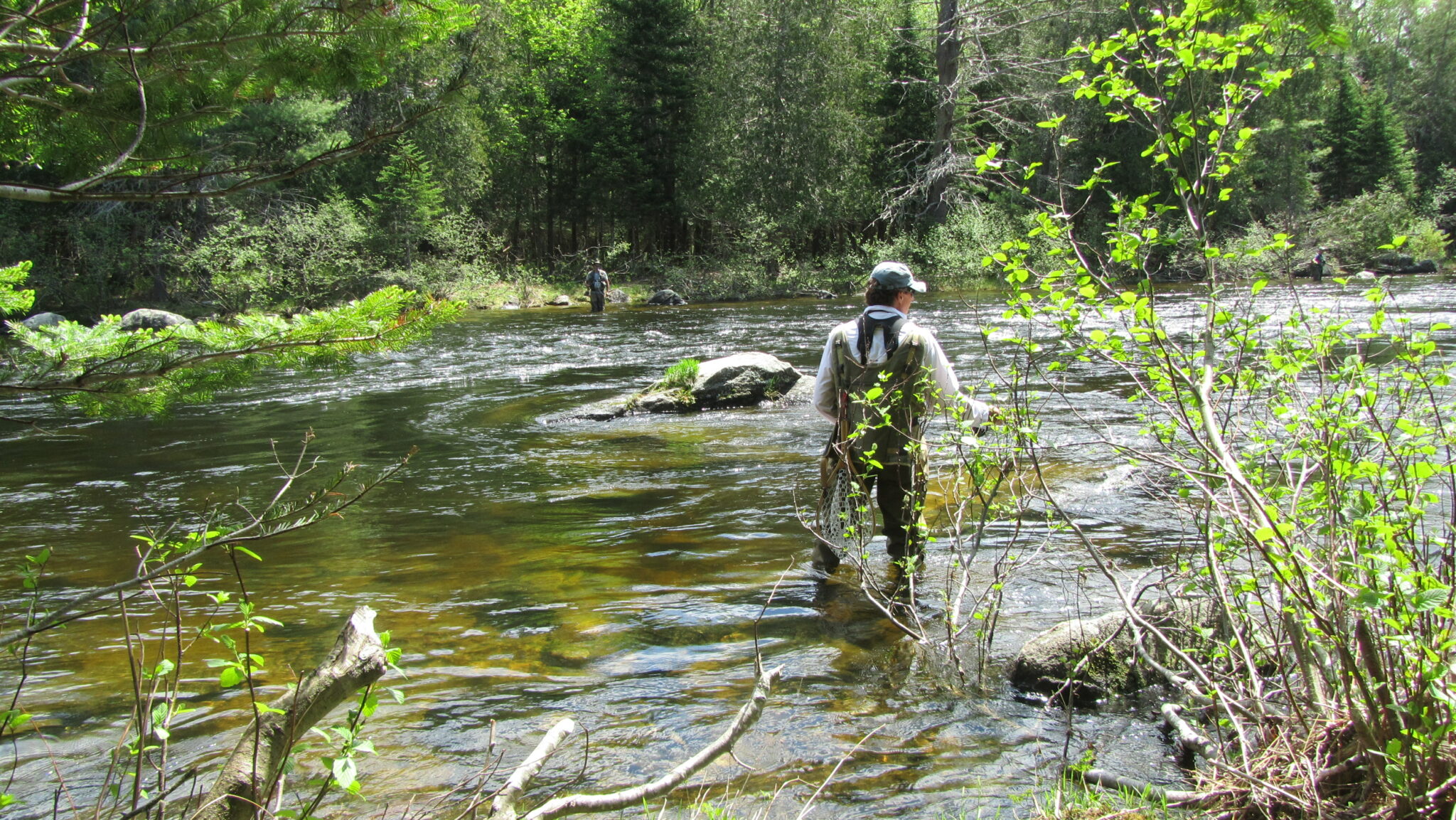 Best Spring Trout Flies - Northwoods Sporting Journal