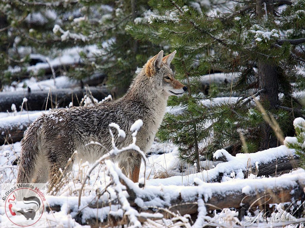 Photo Gallery | Hunting & Fishing Magazine | Bangor, Maine