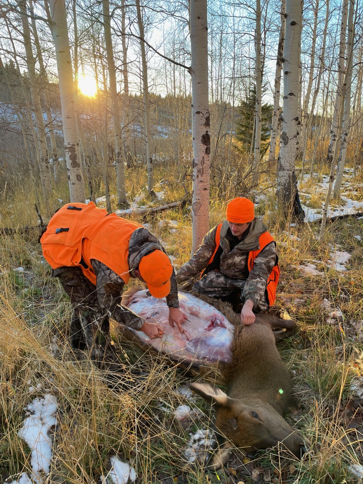 Dry Dressing Moose - Northwoods Sporting Journal